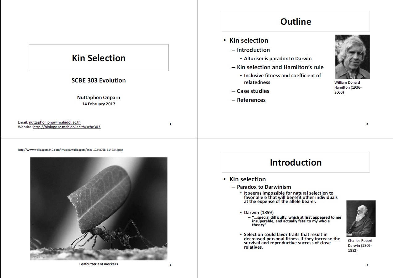SCBI 322 Evolution – Department of Biology MU