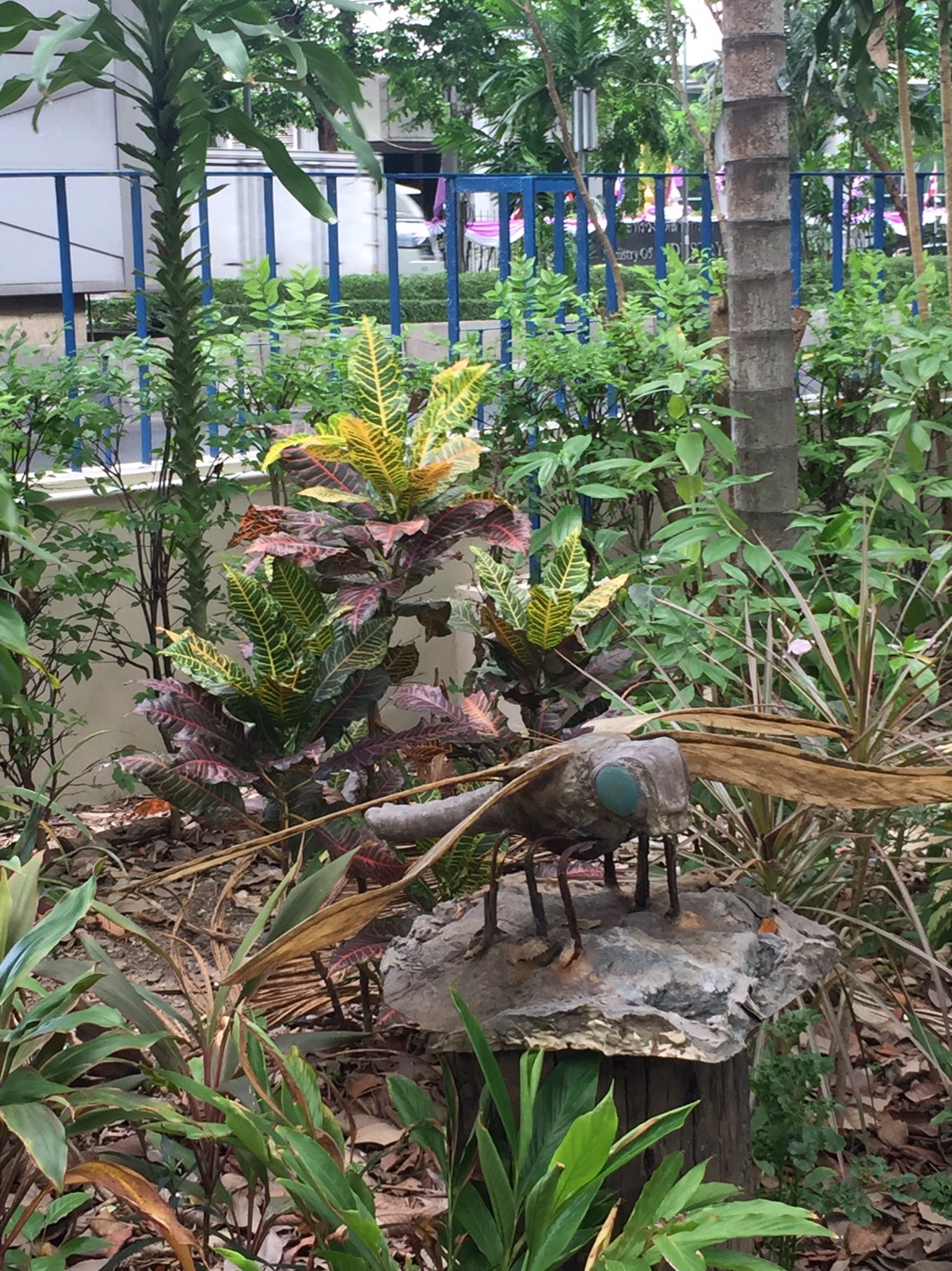 10 ปี Bio-Geo Path – Department of Biology MU