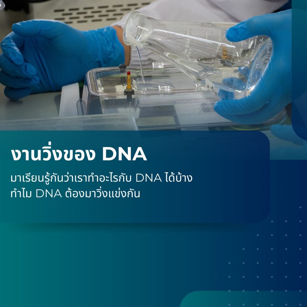 Mahidol Science Open House 2024 – Department of Biology MU